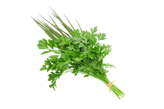 Cheiro Verde Casal Maço - iFrutus