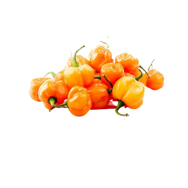 Pimenta De Cheiro 150g - iFrutus